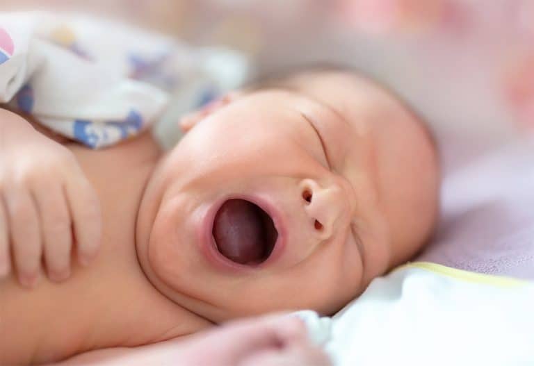 Criar con Sentido Común — Crianza y Maternidad Consciente